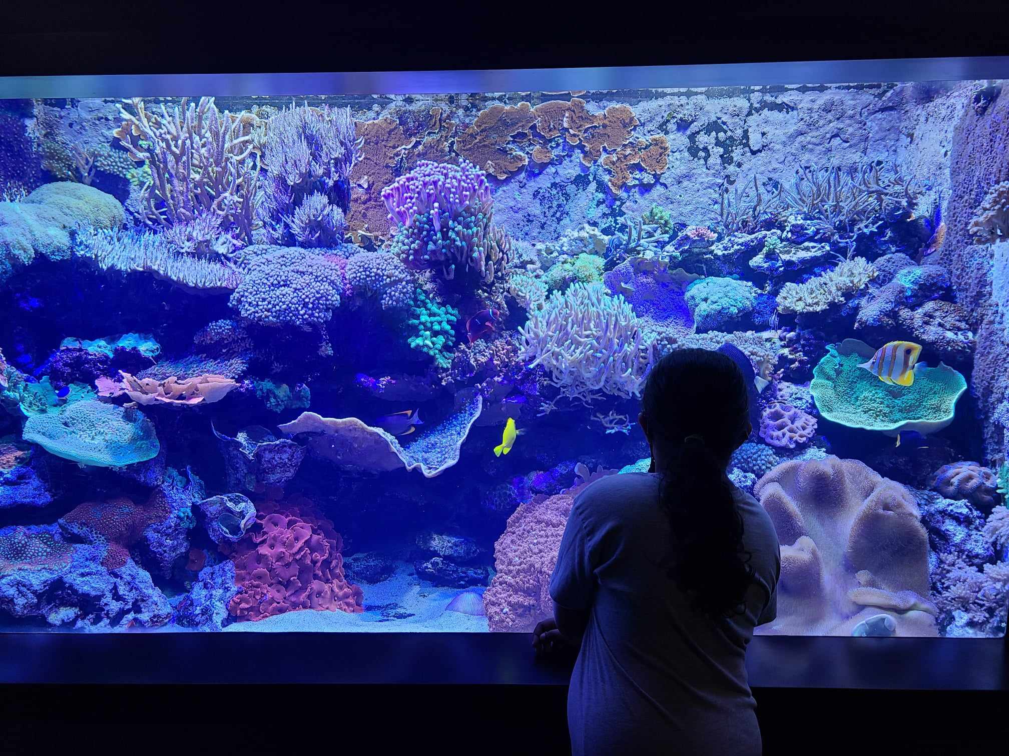 Hidden Gems and Popular Spots: Tennessee Spring Break Ideas - The ...