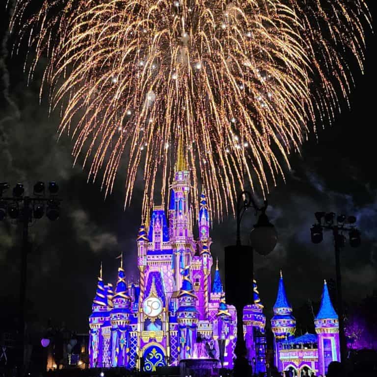 How Many Acres is Disney World? Fun Facts About Its Enormous Size - The ...