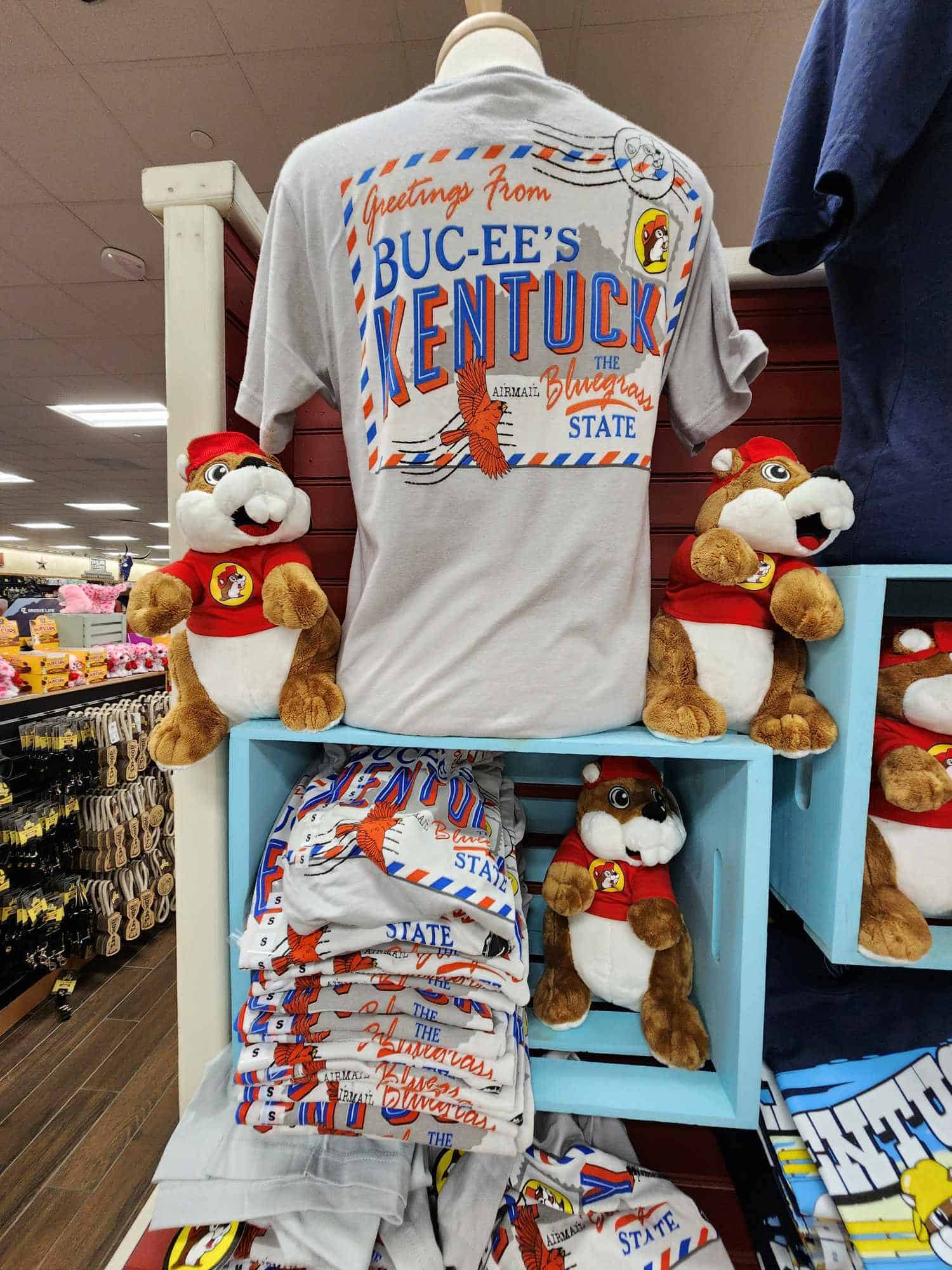 Top Buc-ee’s Souvenirs You’ll Want to Bring Home - The Southern Travelista