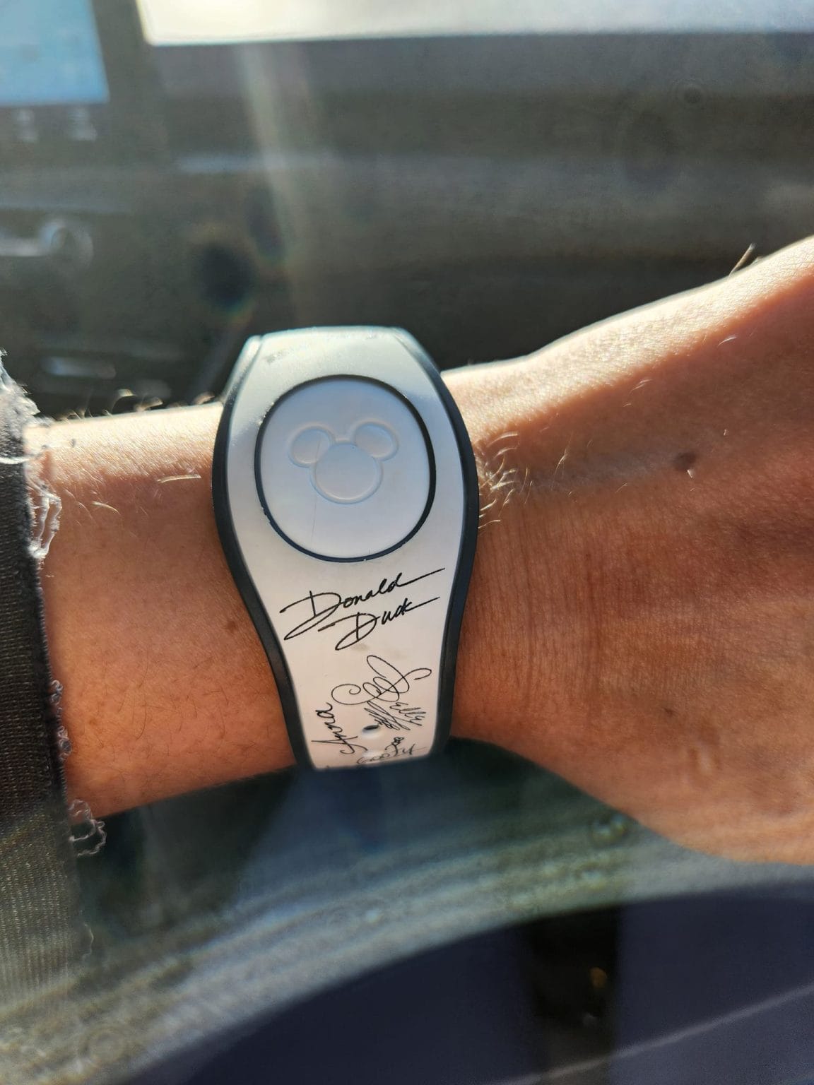 Step by Step Guide: How to Order Disney MagicBands - The Southern ...