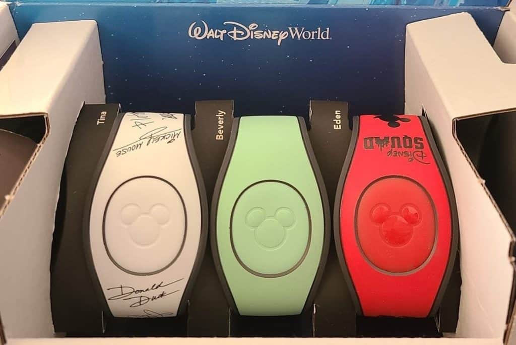 Your Expert Guide to Meeting Disney World Characters - The Southern ...